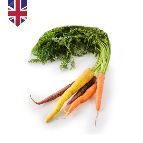 UK Heritage Bunched Carrot – Fresh Connect