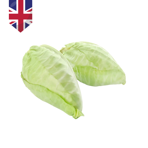 Hispi Cabbage - 1 each – Fresh Connect