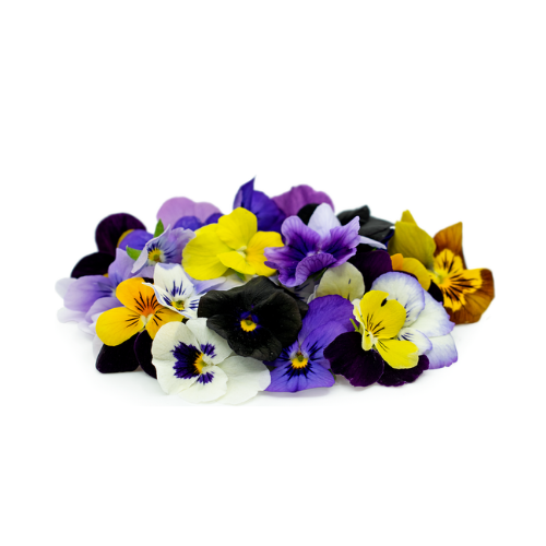 Edible Viola Flowers Mixed - 1 pkt – Fresh Connect