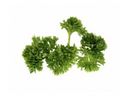 Parsley Curly Pre Pack - 50g – Fresh Connect