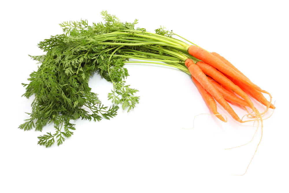 Carrot Bunch - 1 bunch – Fresh Connect