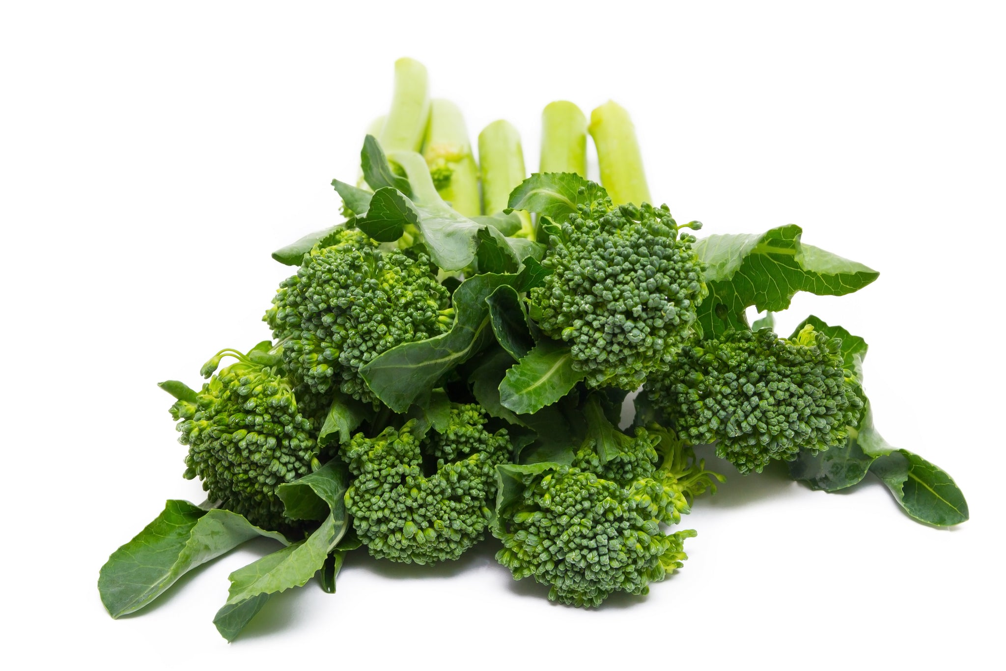 Fresh Vegetables – Fresh Connect